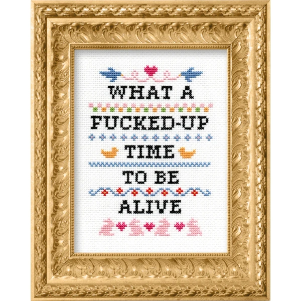 'What a f*cked up time to be alive' Cross Stitch Sampler Kit ...