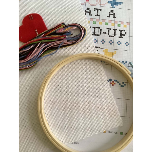 'What a f*cked up time to be alive' Cross Stitch Sampler Kit ...